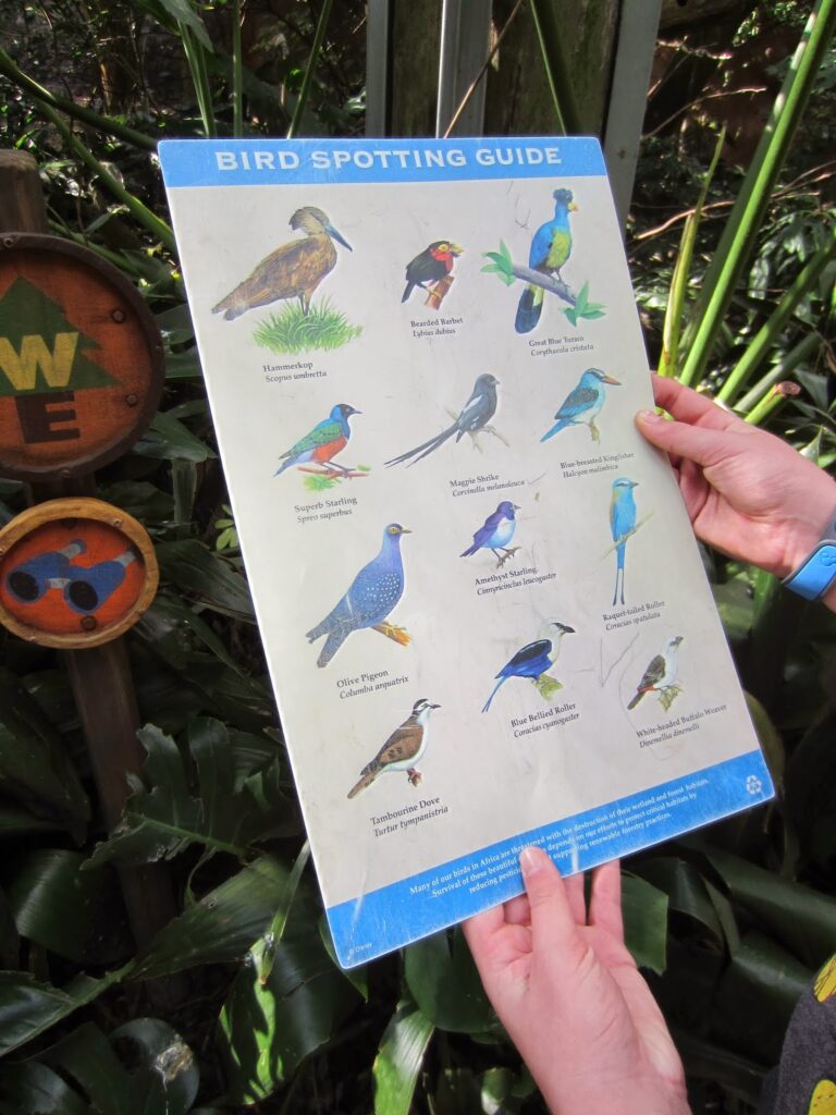 Wilderness Explorers Birding Badge - i heart WDW
